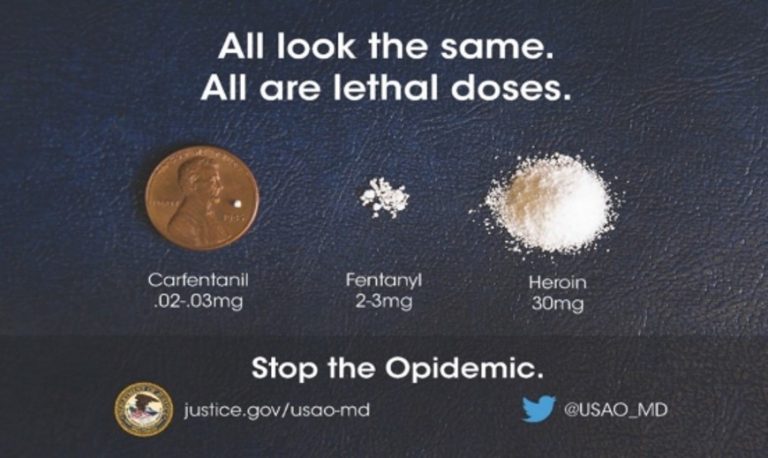 What are Opioids? | Eastern Idaho Public Health